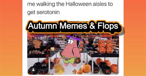 20 Autumn Memes And Flops For Halloween Obsessed Fall Folks FAIL