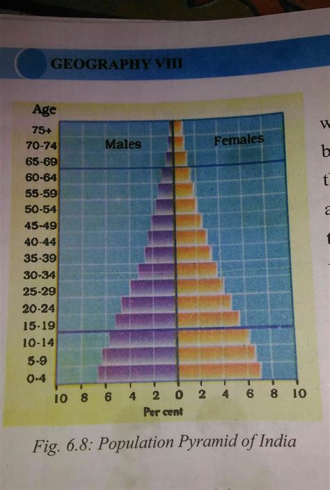 Age Sex Distribution Diagram Convey