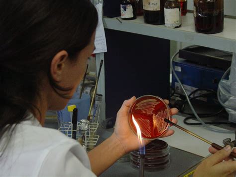 Ciência UENF O que motiva os cientistas