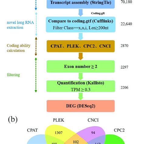 complete computational pipeline for the systematic identification of