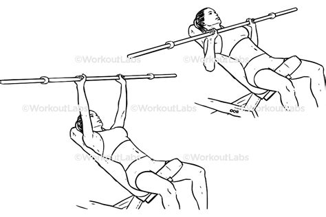 Incline Barbell Bench Chest Press Workoutlabs Exercise Guide