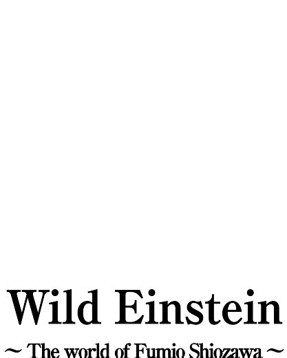 Service｜wild Einstein ～the World Of Fumio Shiozawa～ Official Website