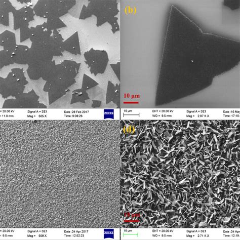 A Sem Image Of Cvd Grown Ha Mos2 On Sio2 B Magnified View Of The