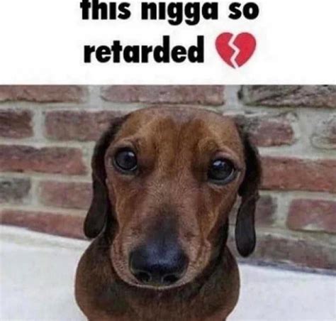 What Is Bro Yappin About R Playboicarti