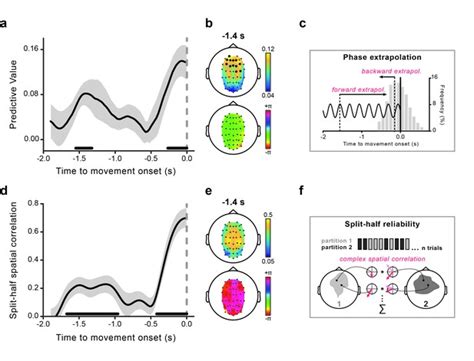 Theta Oscillations Locked To Intended Actions Rhythmically Modulate Perception Elife