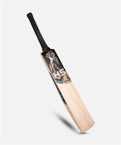 Hs Stroke Master Pak Willow Bat Perfect Balance And Power Hs Pilano
