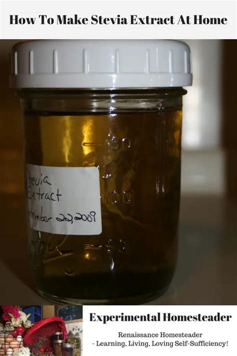 How To Make Stevia Extract At Home Experimental Homesteader