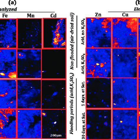 micro xrf maps showing the elemental distribution of zinc zn copper