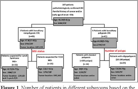 Figure 1 From Molecular Basis Of Inherited Colorectal Carcinomas In The Macedonian Population