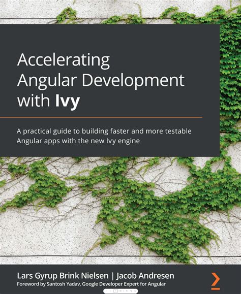 accelerating angular development with ivy a practical guide to building