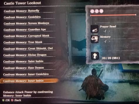 Mmmm So Many Unusable Memories Rsekiro