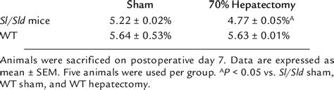 Liver Weightbody Weight Ratios In Wt And Slsld Mice Undergoing 70