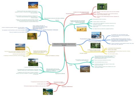 Principais FormaÇÕes Vegetais Do Mundo Floresta Temperada E Subtropical
