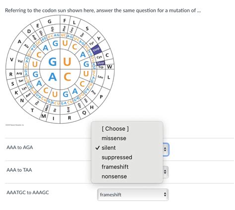 Solved Referring To The Codon Sun Shown Here Answer The