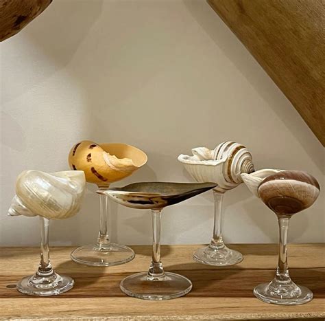 Seashell Wine Glasses