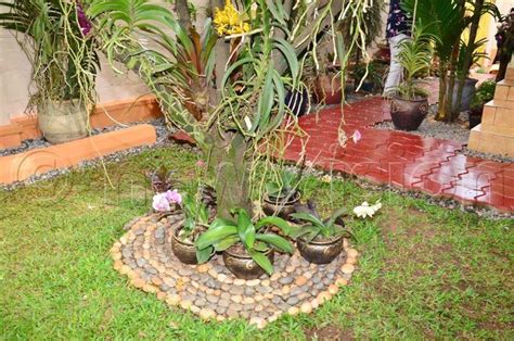 How To Design Around Your Compound Trees Bukedde Online Amawulire