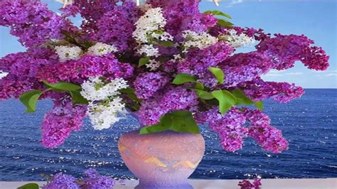 МАЙСКАЯ СИРЕНЬ По просьбам зрителей Flowers Beautiful Flowers