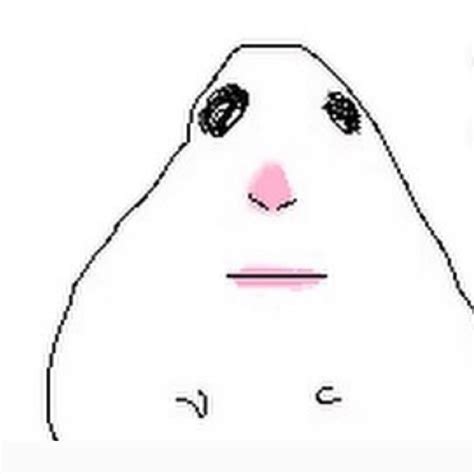 Julissasmr On Tiktok In 2025 Funny Hamsters Funny Reaction Pictures Funny Doodles