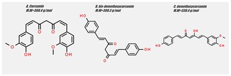 Biomedicines Free Full Text The Role Of Curcumin In Cancer Treatment