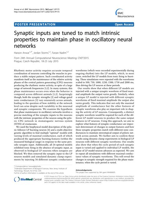 Pdf Synaptic Inputs Are Tuned To Match Intrinsic Properties To Maintain Phase In Oscillatory