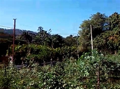 Hobart Podunk News By By Gadfly