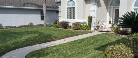 Grass Ninjas Lawn Care And Landscaping Inc Project Photos And Reviews