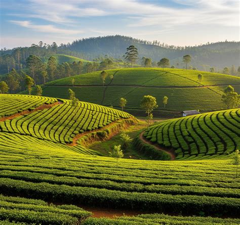 Bridging Continents Understanding The 0098 Country Code And International Calling Sihasah