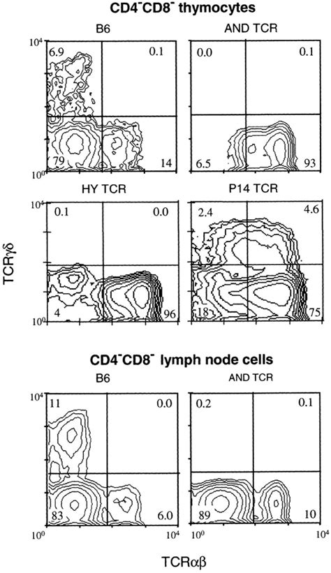 Cd4⁻cd8⁻ T Cells Of And And Hy Tcr Mice Express Transgenic Tcrαβ But No