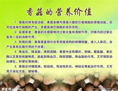 香菇的营养价值设计图展板模板广告设计设计图库昵图网