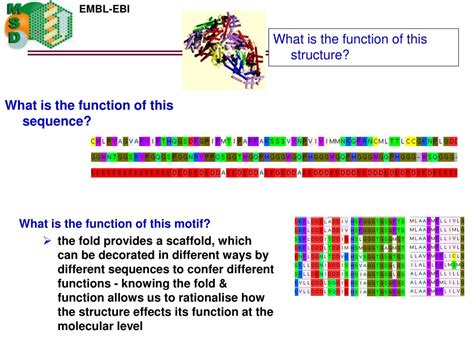 Ppt The European Macromolecular Structure Database Emsd Powerpoint