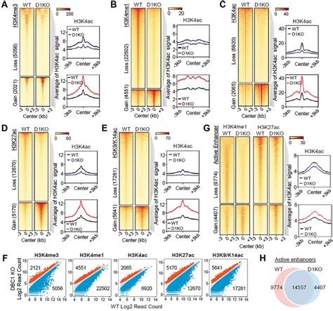 Dbc1 Regulates The Epigenetic Landscape Of Active Histone Download