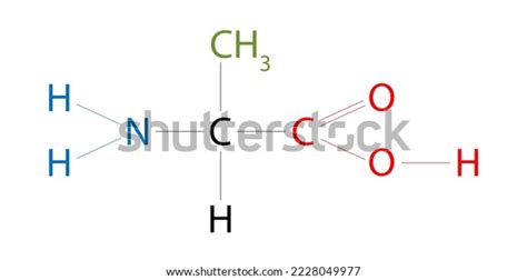 Structure Alanine Alanine Amino Acid That Stock Illustration 2228049977