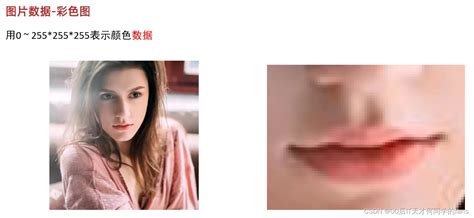 计算机中的数据存储计算机存储数据 Csdn博客