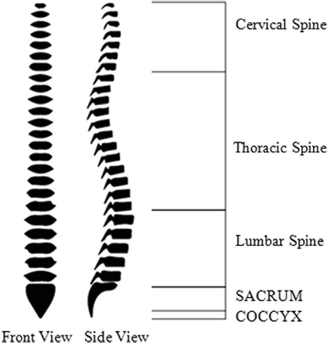 Osteoporotic Vertebral Fractures Are Shown In A And B With Arrows Fig