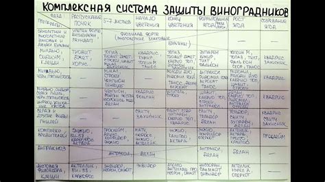 Схема обработки виноградных кустов от болезней от Агромагазина Фазенда