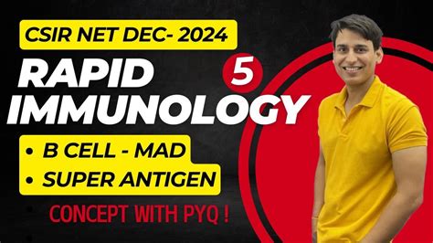 B Cell Maturation Activation And Differentiation Super Antigen Csir Net Dec 2024 Life Science