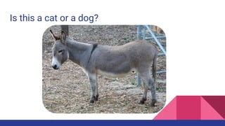 Introduction To Probabilistic Programming With Pyro Ppt