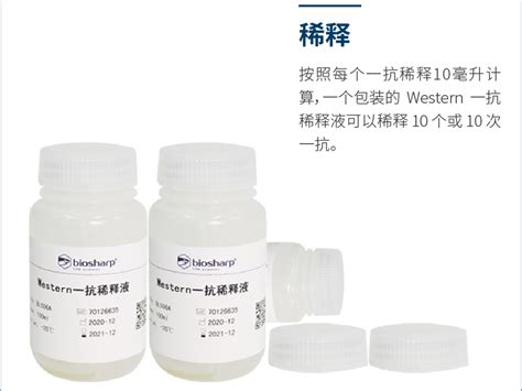 Biosharp BL506A Western一抗稀释液 科夷生物 科夷生物