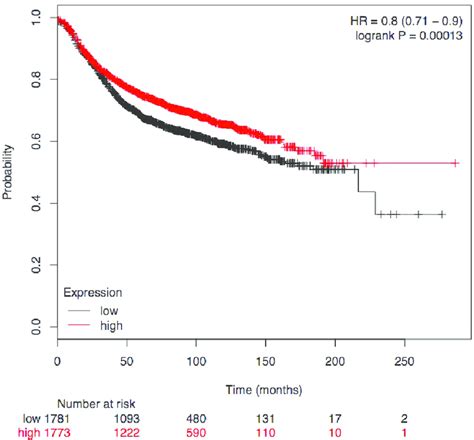 Plot For The Relationship Of Runx3 Mrna Expression And Rfs In Bc