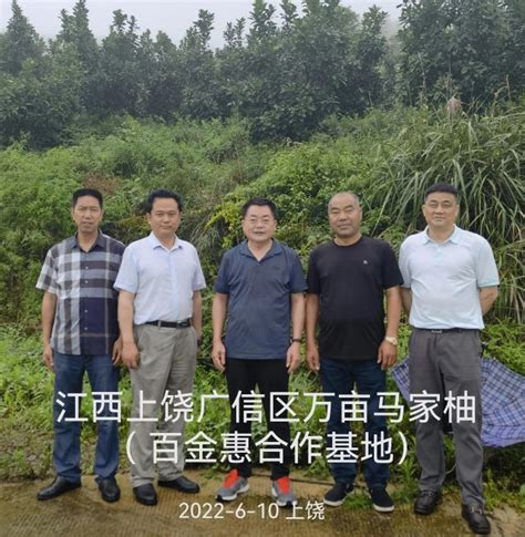 百金惠农惠万家—生命元素动力肥土壤修复改良技术走进全国农业示范基地！百金惠惠万家—生命元素动力肥土壤修复改良技术进示范区财富号东方财富网