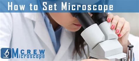 How To Set Up A Microscope Microscope Crew