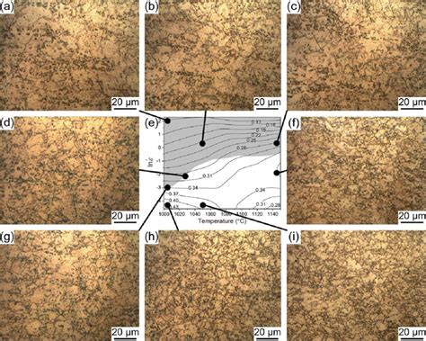 Microstructures Of 2nb Steel At 1000 1150 °c In Different Deformation