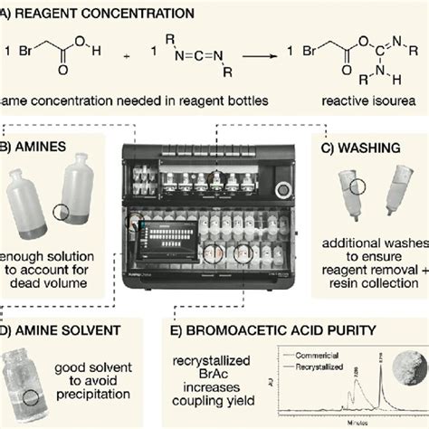 Solution Phase Peptoid Synthesis A Solution Phase Synthetic Download Scientific Diagram
