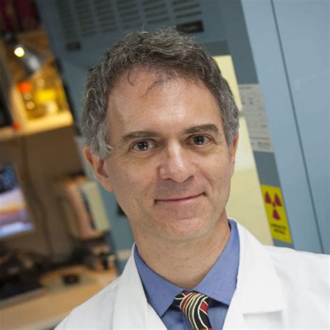 David Alland Report International