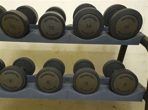Technogym Dumbbell Rack Kurzhantel Set Kaufen Auf Ricardo