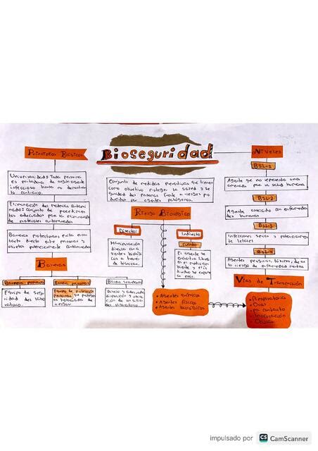 Mapas Conceptuales De Biología Lisan Udocz