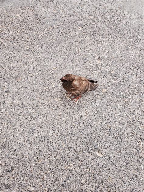 Sergio Bugarin Las Vegas Nv