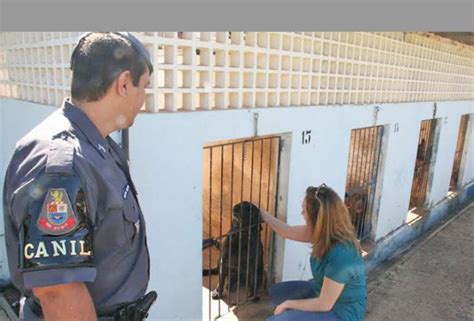 ajuda de cão farejador Polícia Militar prende dois traficantes no