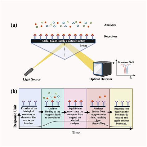 Nanoplasmonic Biosensors A Comprehensive Overview And Future Prospect Ijn
