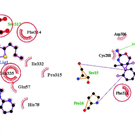 Two Dimensional Representation Of Inhibitors Docked With The Catalytic Download Scientific